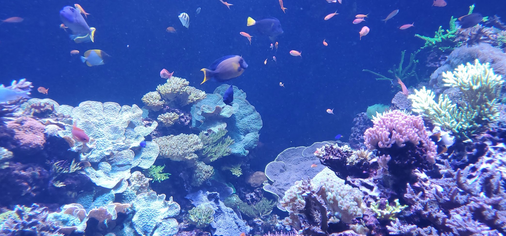 Entretenimiento - Celimar Noticias